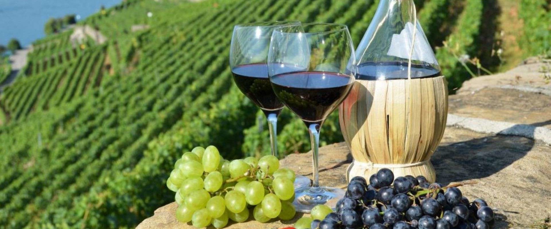 The Top 100 Wines of the World